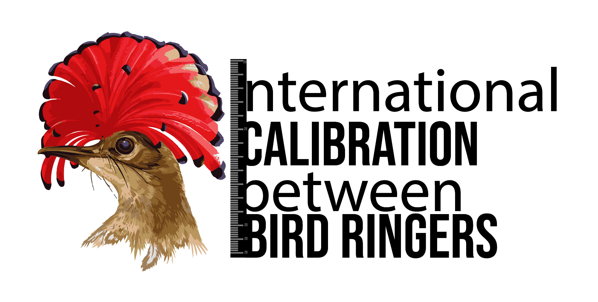 Manu Bird Observatory - Ornithoschool